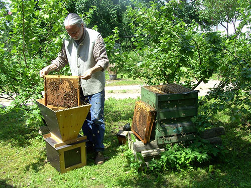 Biodinamično čebelarjenje Michael Weiler - Biodinamika