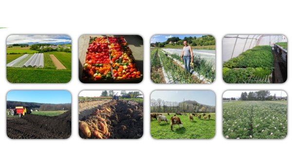 Kopija-izdelka-Kopija-izdelka-Truth-is-not-what-you-want-it-to-be-it-is ...